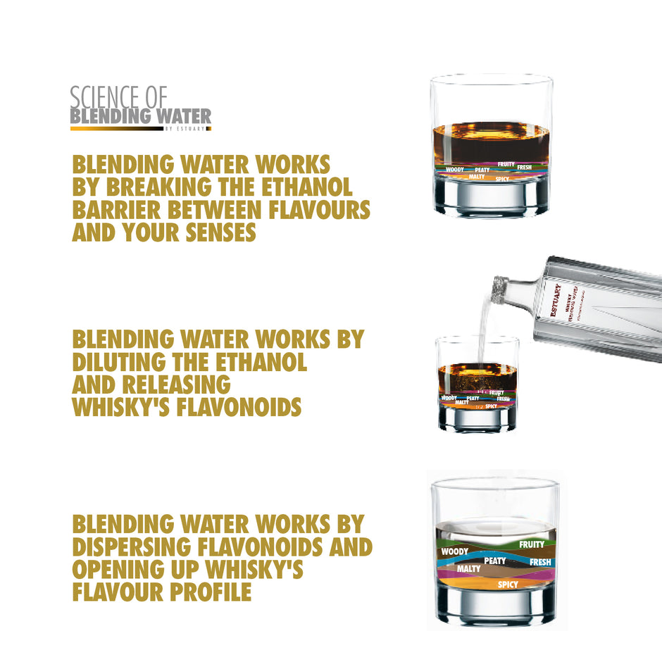 Estuary World | World's First Blending Water